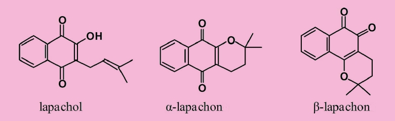 Pau d’Arco – VitEducatief